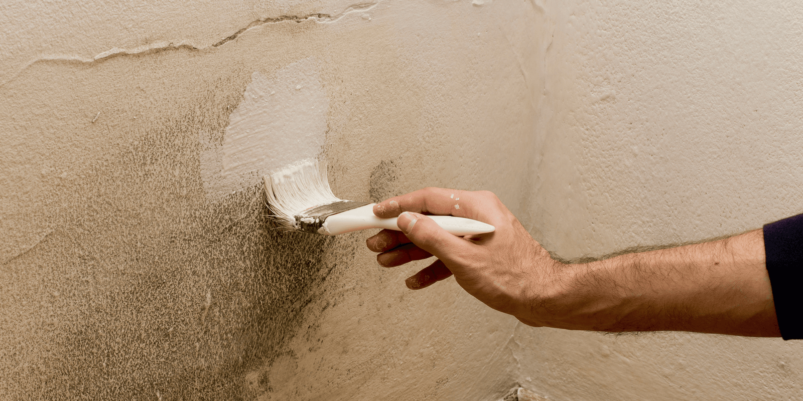 Best Damp Proof Paint for Interior Walls: Types & Tips
